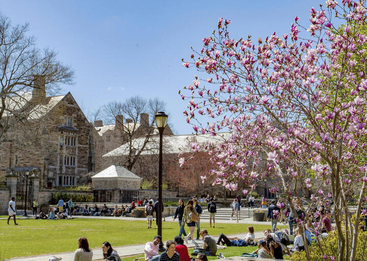 Welcome | Yale College Opening Days